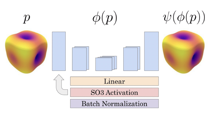 About | Shayan Pardis