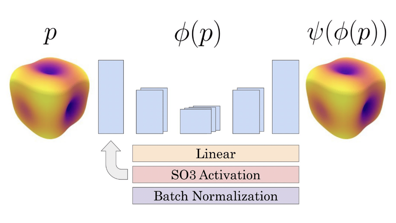 About | Shayan Pardis